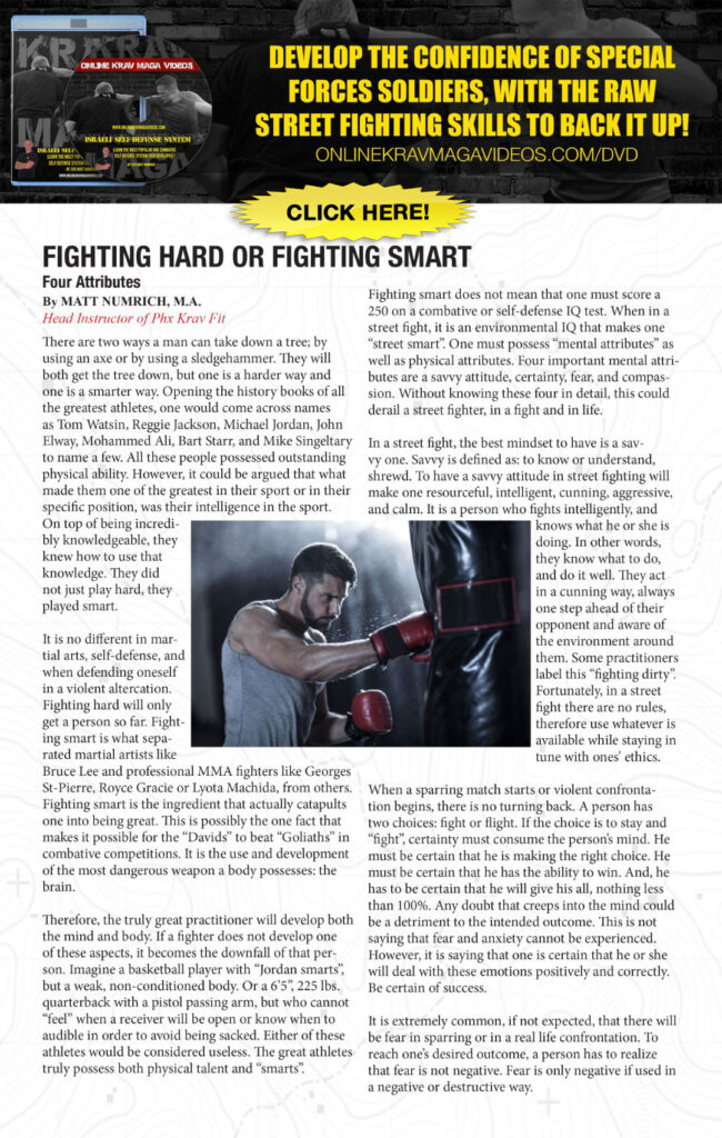 Fighting Hard or Fighting Smart: Four Attributes - Fearless Street Fighter